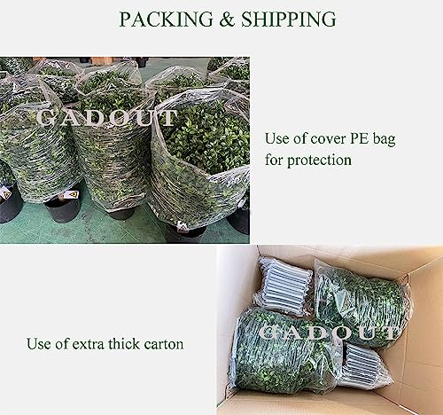 Set of 2 -Pre-Potted Artificial Potted Shrubs UV Resistant,24" Artificial Boxwood Topiary Ball Tree,for Indoor and Outdoor Home Garden(Green)