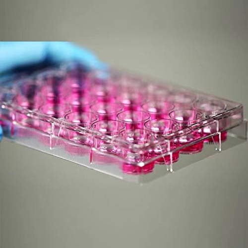 United Scientific⢠F1004 Non-Sterile Polystyrene Well Pate | 24 Wells | Desinged for Laboratory, Classroom, or Home Use | Pack of 10