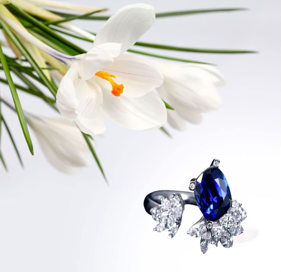 H.Queen Lifetech Fashionable Navy Sapphire Zircon Created Gemstone Rings Navy Blue Adjustable Open Rings Copper Plated 925 Silver for Women(Navy Blue