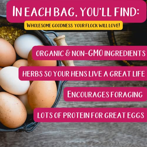 Pampered Chicken Mama Chicken Treat for Hens 10 Pounds Sampler Bundle: 8 Different Treats in One Box! - Grubs, Dried Mealworms, Cracked Corn, Oyster Shell, & Duck Feed