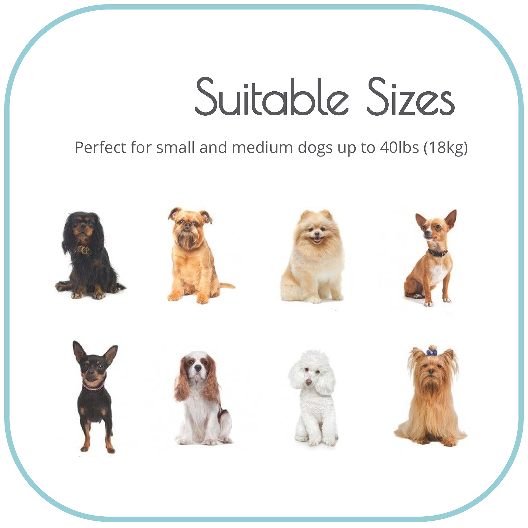 Furiends - Retractable Wearable Dog Leash with Bright LED Light | Rechargeable with Type C, DONUT Shape, 10 ft Traction Rope and Quick Brake – (for Small and Medium Furry Friends Up to 40 LBS) – White