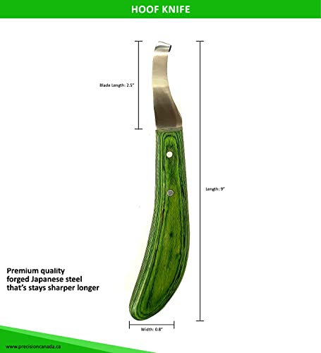 PRECISION CANADA Super Sharp Loop Blade Hoof Knife for Right Handed of Japanese Stainless Steel with Smooth Wooden Handle