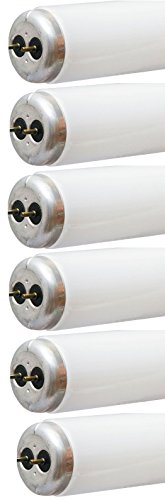 GE Kitchen & Bath Light Bulbs, T12 Tube Light Bulbs, 30 Watt, 36-Inches, G13 2-Pin Base, Warm White (6 Pack)
