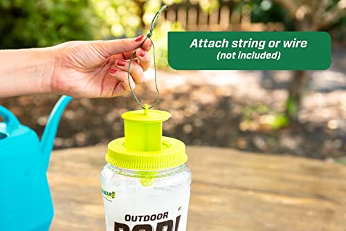 RESCUE! POP! Fly Trap – Large Reusable Fly Trap for Outdoor Use