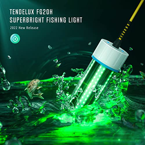 Tendelux Underwater Fishing Light, 110V Super Bright Green LED Submersible Light Attractants for Docks, Boats or Kayaks, IP68 Rated for Fresh & Salt Water (30ft Cable)