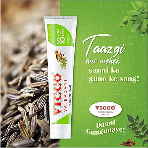 Vicco Vajradanti Herbal Toothpaste 18 Ayurvedic Herbs and Barks with Fennel Flavour - Pack of 3 (200g Each) - Specially Packed and Exported by Behal International