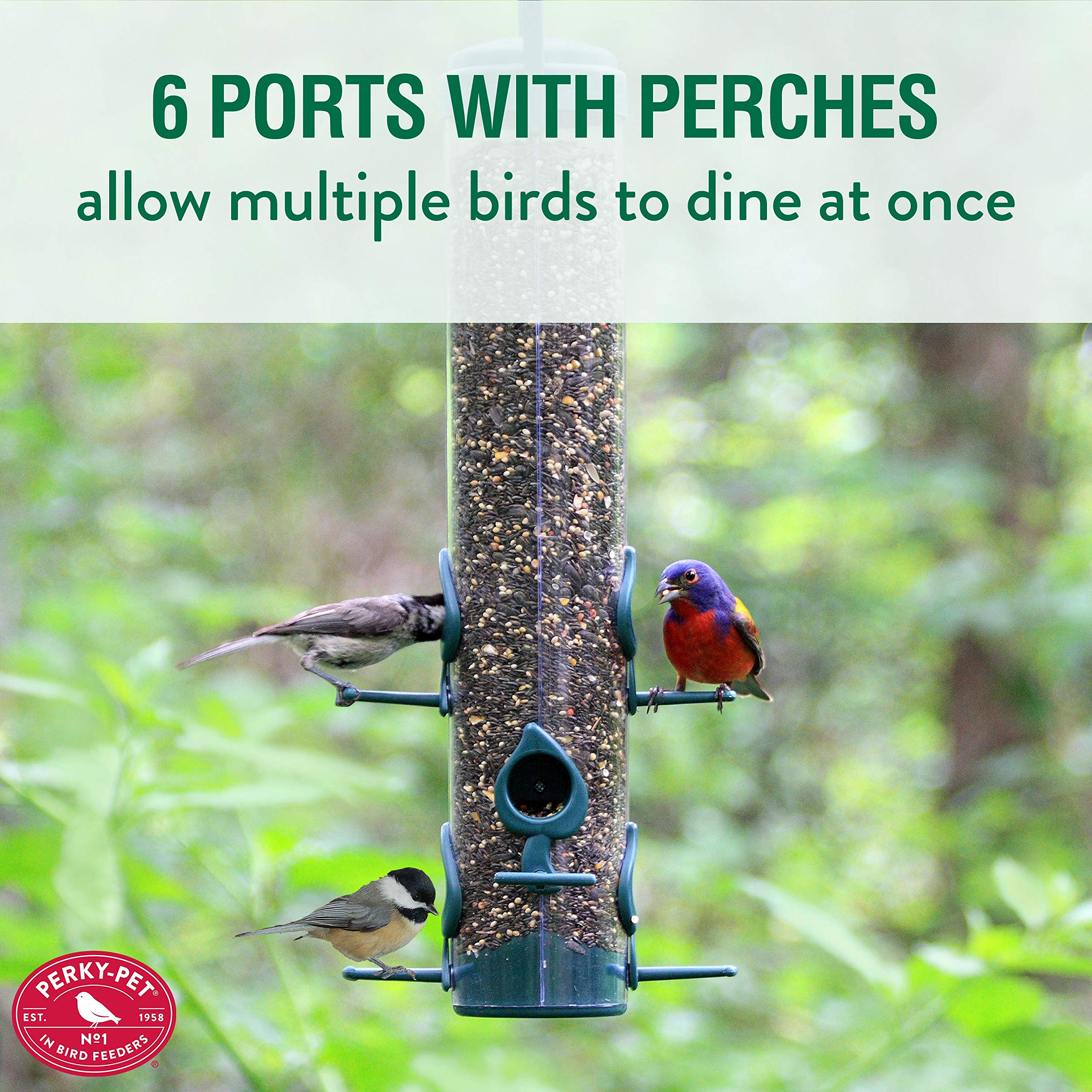 Perky-Pet 480 Classic Hanging Wild Bird Feeder β 1.75 lb Seed Capacity