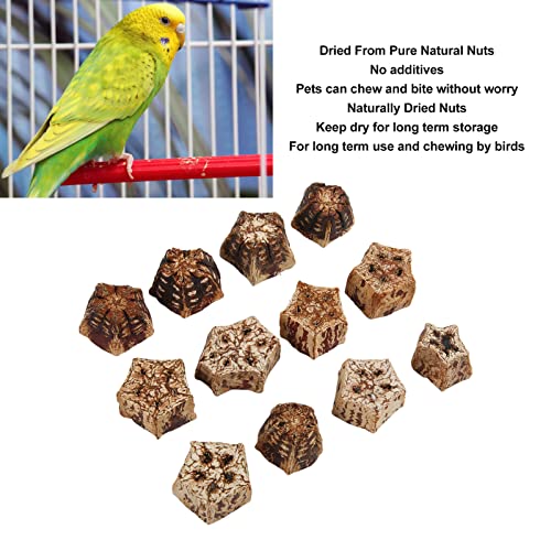 Pssopp Bird Chewing Blocks Toy,Decorative Dried Nut Wood Bird Block Toys Decorative Five Pointed Bird Toy for Bird Supplies Hamsters Totoros Rabbits