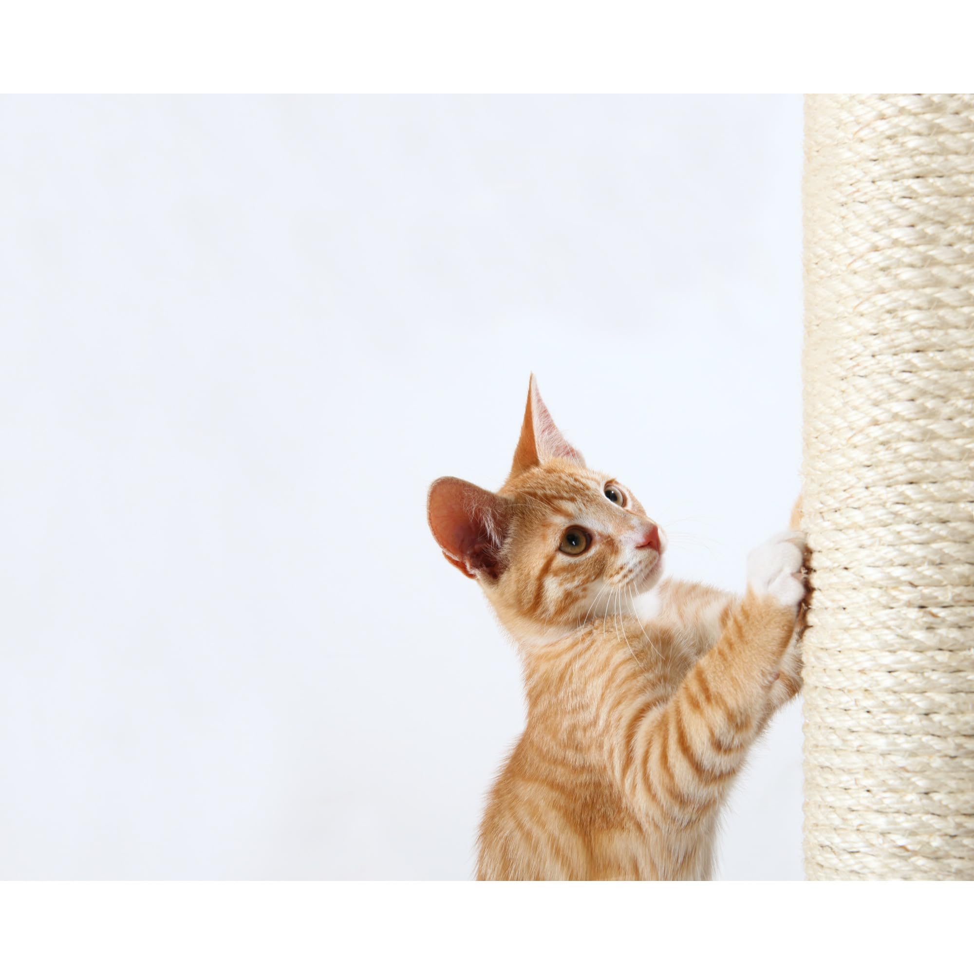 TRIXIE Replacement Cat Scratching Post 19.7 Inch - with Durable Sisal Rope