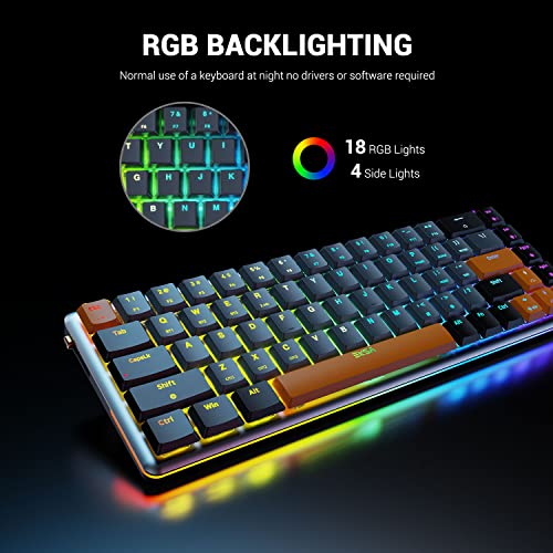 Gaming Keyboard, 65% Low Profile Wireless Mechanical Keyboard with Red Switch, Bluetooth 5.0/2.4G/ Wired RGB Lighting Keyboards for Travel Office PC (EK3000 keyboard-A type)