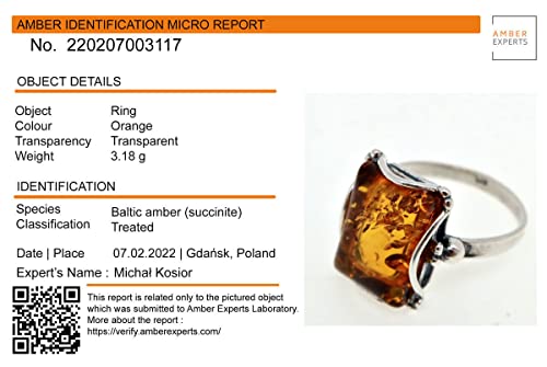 HolidayGiftShops Sterling Silver and Baltic Honey Amber Rectangle Adult Ring Makell- Size 9