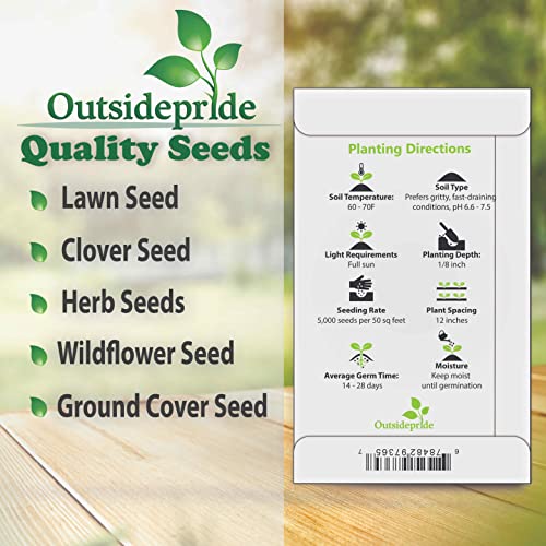 Outsidepride Poppy California Purple Gleam Wild Flower Seeds - 5000 Seeds