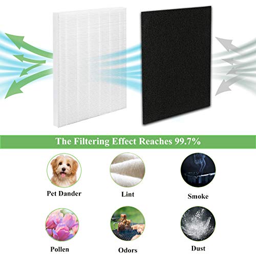 GuanQiao 1512hh Filter Compatible with Coway AP1512HH AP-1512HH, 3304899 AP1512HH AP1512, Include 2 HEPA Filters 8 Pre Filters