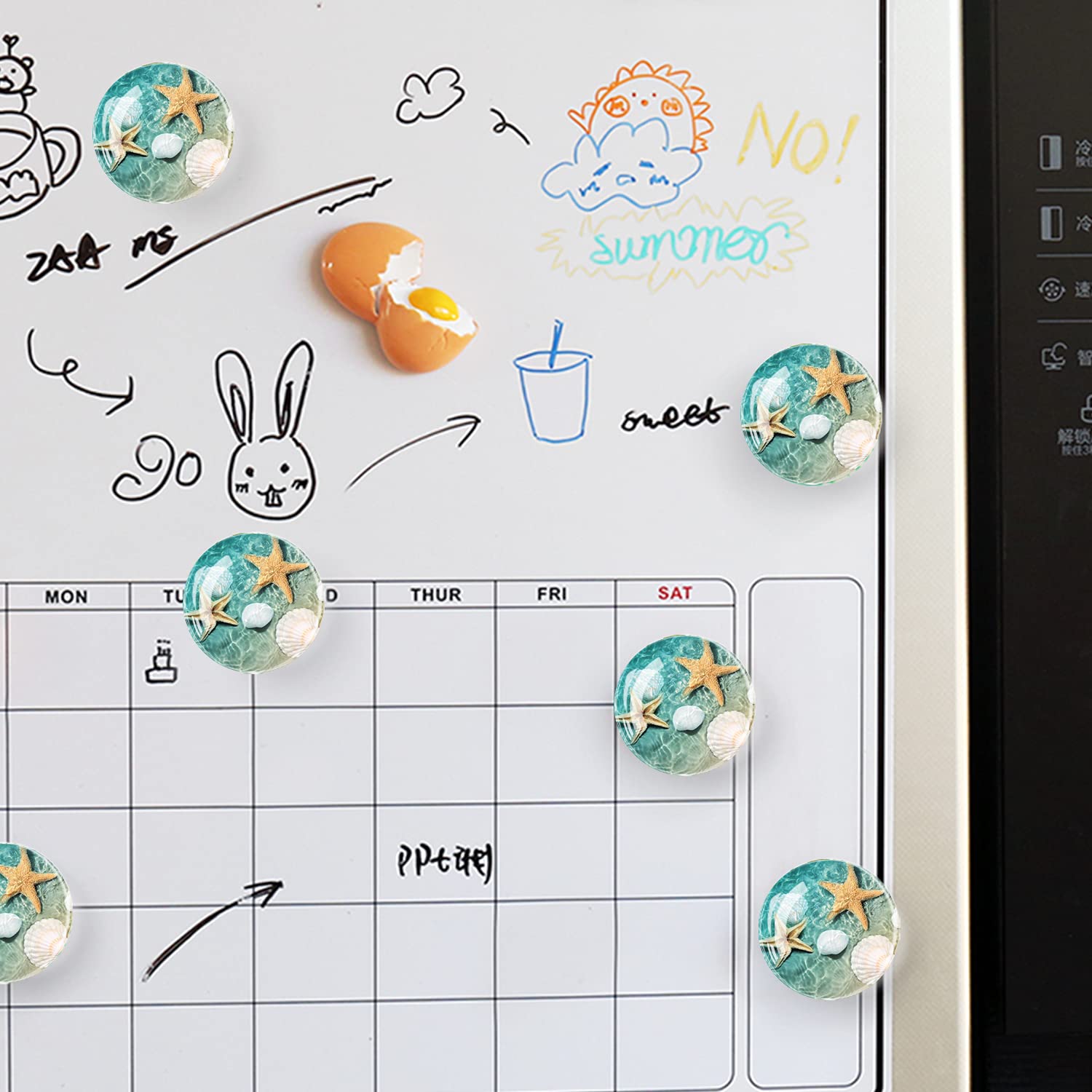 Medium Refrigerator Magnets Funny-Cute Fridge Magnet Beach Starfish and Seashell-6 Pieces Glass Refrigerator Magnet Round Decorative Magnets for Whiteboard Photo Office Locker