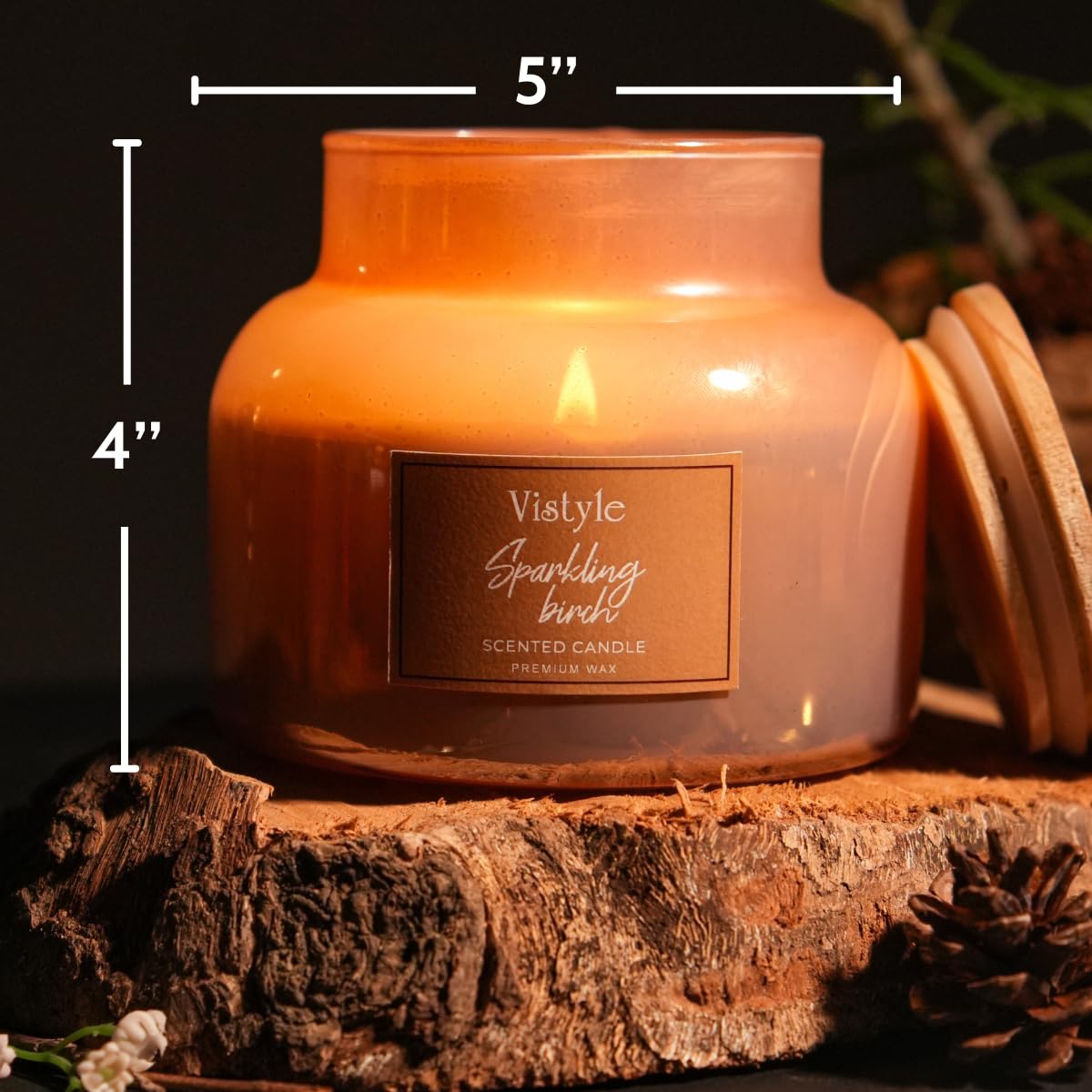 VISTYLE Scented Candle, 16 Oz Large Jar Candle up to 65+ hours burn time, Sparkling Birch scented, Non-Toxic, Candles for Home Decor & Aromatherapy