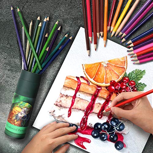 YOOUSOO Colouring Pencils,36 Pcs Professional Coloured Pencils Drawing Pencils, Oil-based Artist Pencil Set, No Wax, Ideal for Sketching, Doodling, Painting, Writing, Pre-sharpened