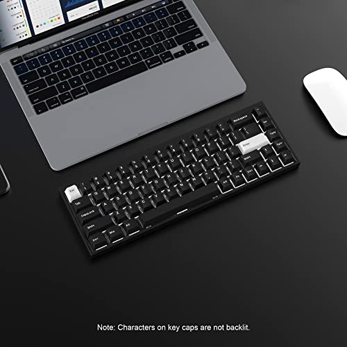 WOB Keycaps 168 Keys, Double Shot PBT Custom Keycap Set, Minimalist Style White on Black Cherry Profile Keyboard Keycaps for Cherry Gateron MX Switches Mechanical Keyboard