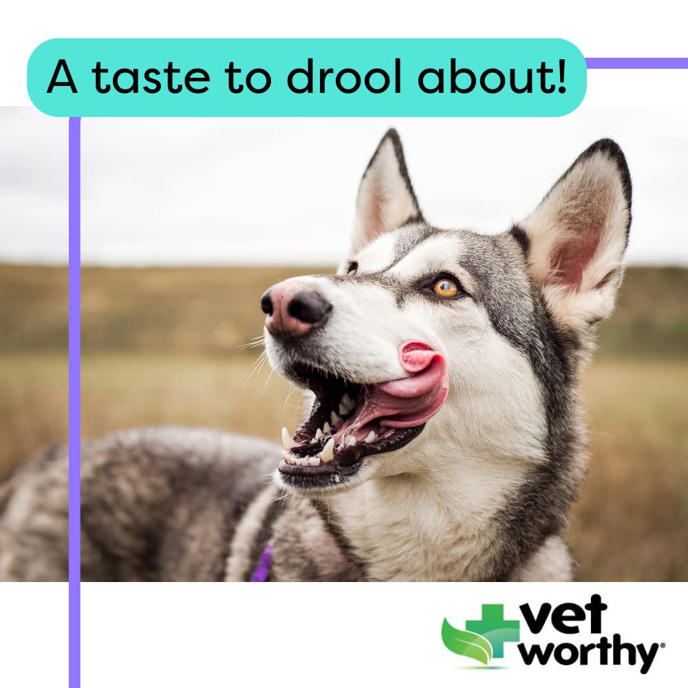 Vet Worthy Stop Stool Ingestion - Daily Supplement for Dogs to Prevent Stool Eating - Dog Supplement with Yucca Schidigera, Parsley Leaf, Chamomile, Thiamine - Liver Flavor, 60 Chewable Tablets