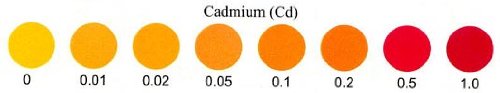 Osumex Heavy Metal Test Kit for Humans 5 Pack Heavy Metals Test β At Home Heavy Metal Urine Test Kit, Mercury Test Kit for Humans, Arsenic Testing Kit Cadmium Tester with Option to Choose Other Metals