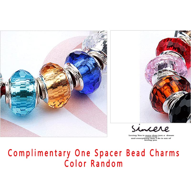 HappyStar 925 Sterling Silver Charms for Bracelets and Necklaces,Combination Dangle Pendants Beads Charms Jewelry Gift for Couples Sisters.(With Spacer Beads)