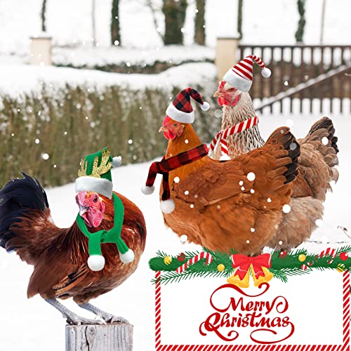 ShuRung 12Pcs Christmas Pet Chicken Hat Scarf Small Animal Xmas Santa Mini Chick Guinea Pig Bunny Hats with Adjustable Chin Strap for Duck Hamster Chinchilla Pets, Green,Black