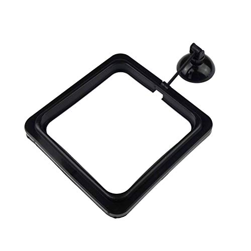 Zelerdo 5 Pack Aquarium Fish Feeding Ring Floating Food Feeder, Square Shape with Suction Cup, Black