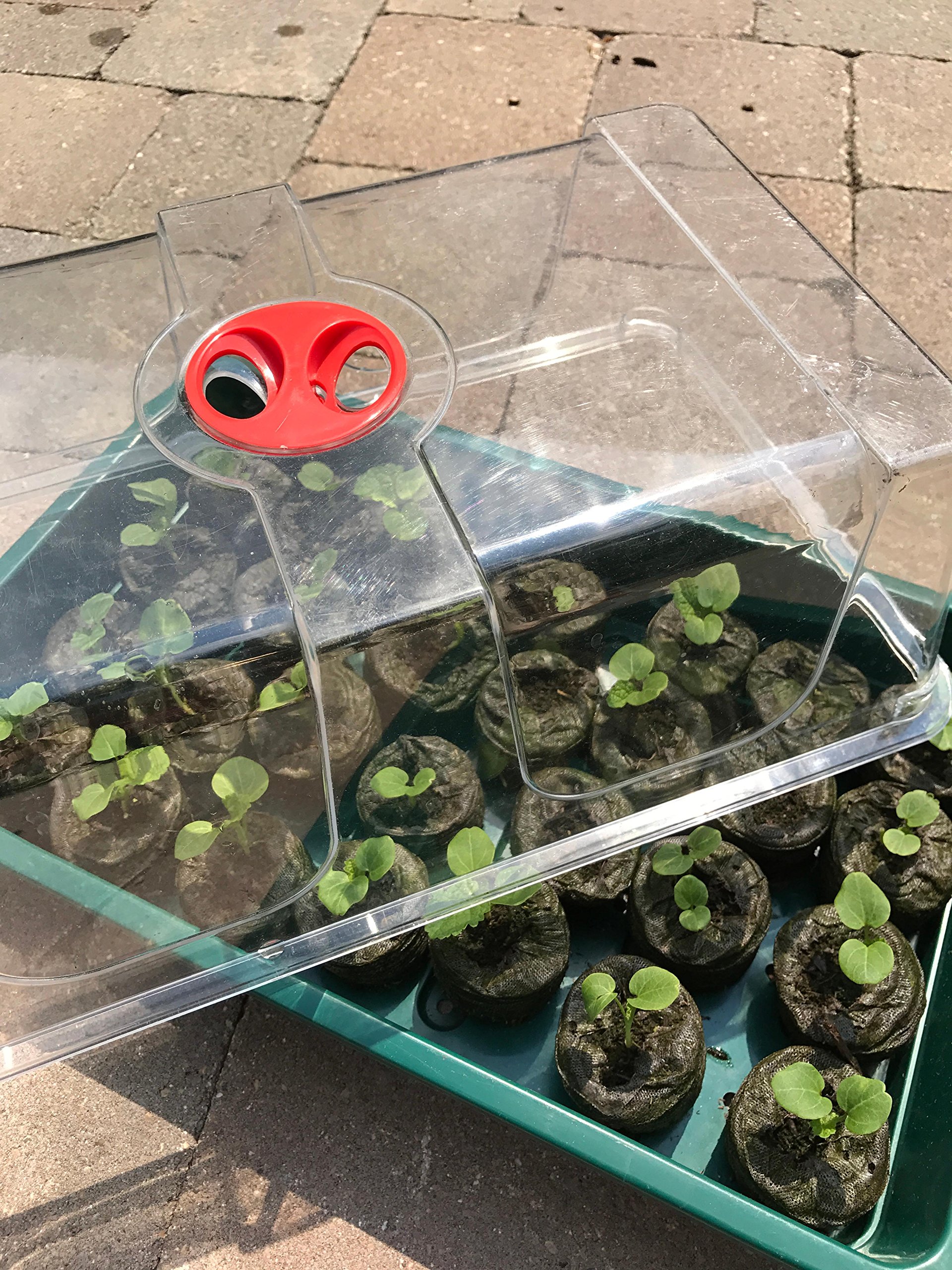 Garland Large High Dome Propagator