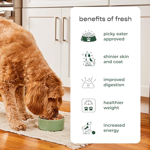 Freshpet Dog Food, Slice and Serve Roll, Tender Chicken Recipe, 16 Oz