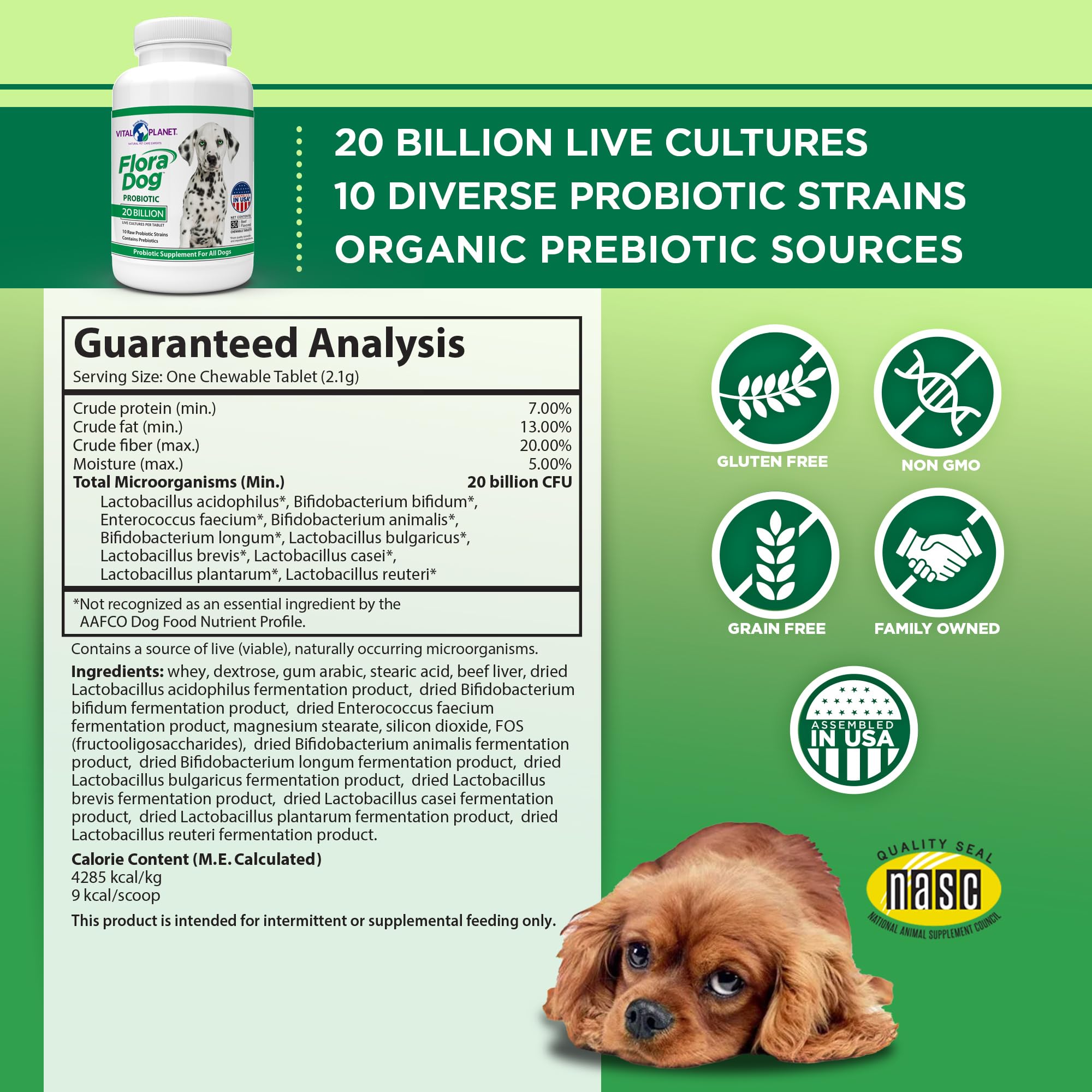 Vital Planet - Flora Dog Probiotic Chewable Tablets Supplement with 20 Billion Cultures and 10 Strains, High Potency Immune and Digestive Support Probiotics for Dogs, 30 Beef Flavored Chewable Tablets