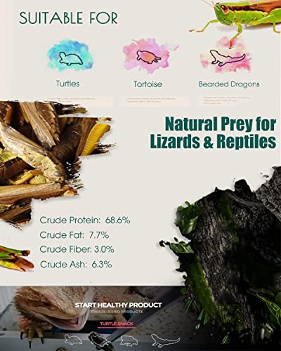 Tasty Freeze Dried Grasshopper Reptile Food for Turtles, Bearded Dragon, Hedgehog,Lizard, Chameleon, Birds (3 OZ)