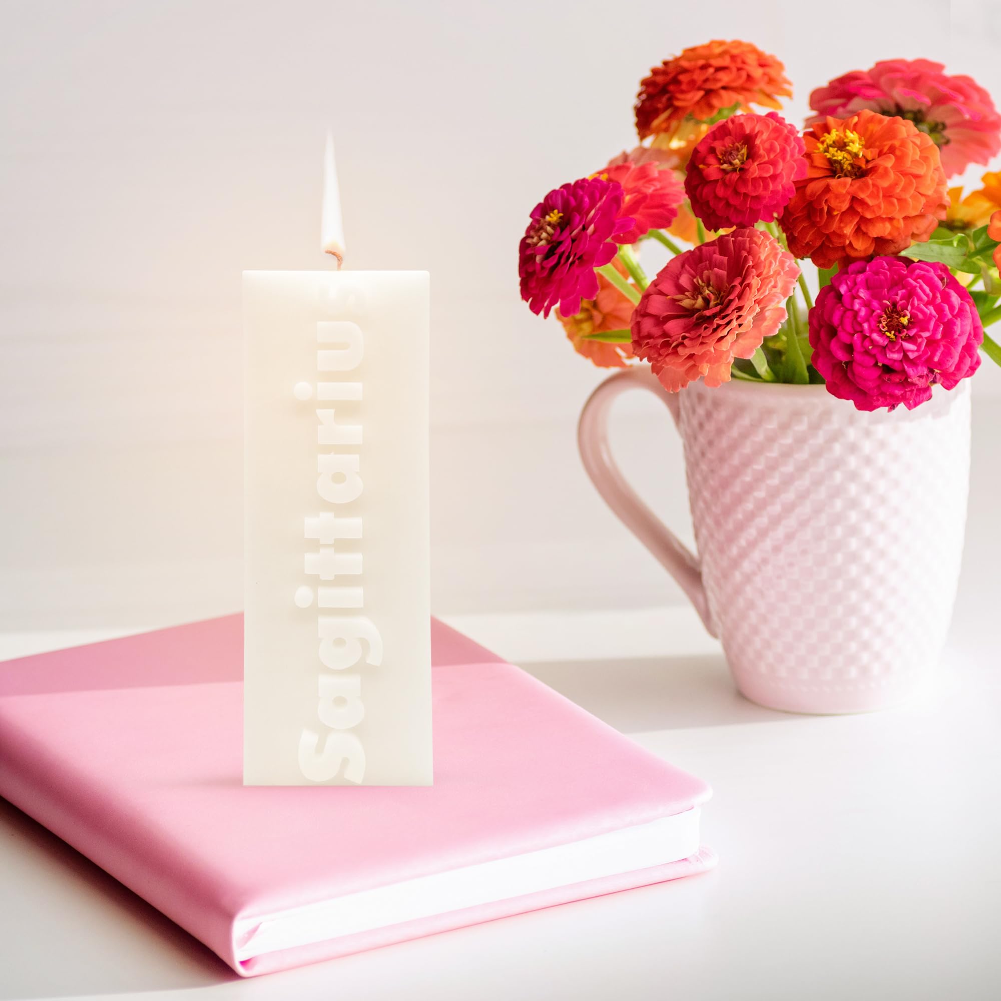 Zodiac Pillar Candles/Astrology/Leo/Virgo/Cancer/Aries/Gemini/Pisces/Libra/Capricorn/Sagittarius/Taurus/Aquarius/Scorpio (Scorpio)
