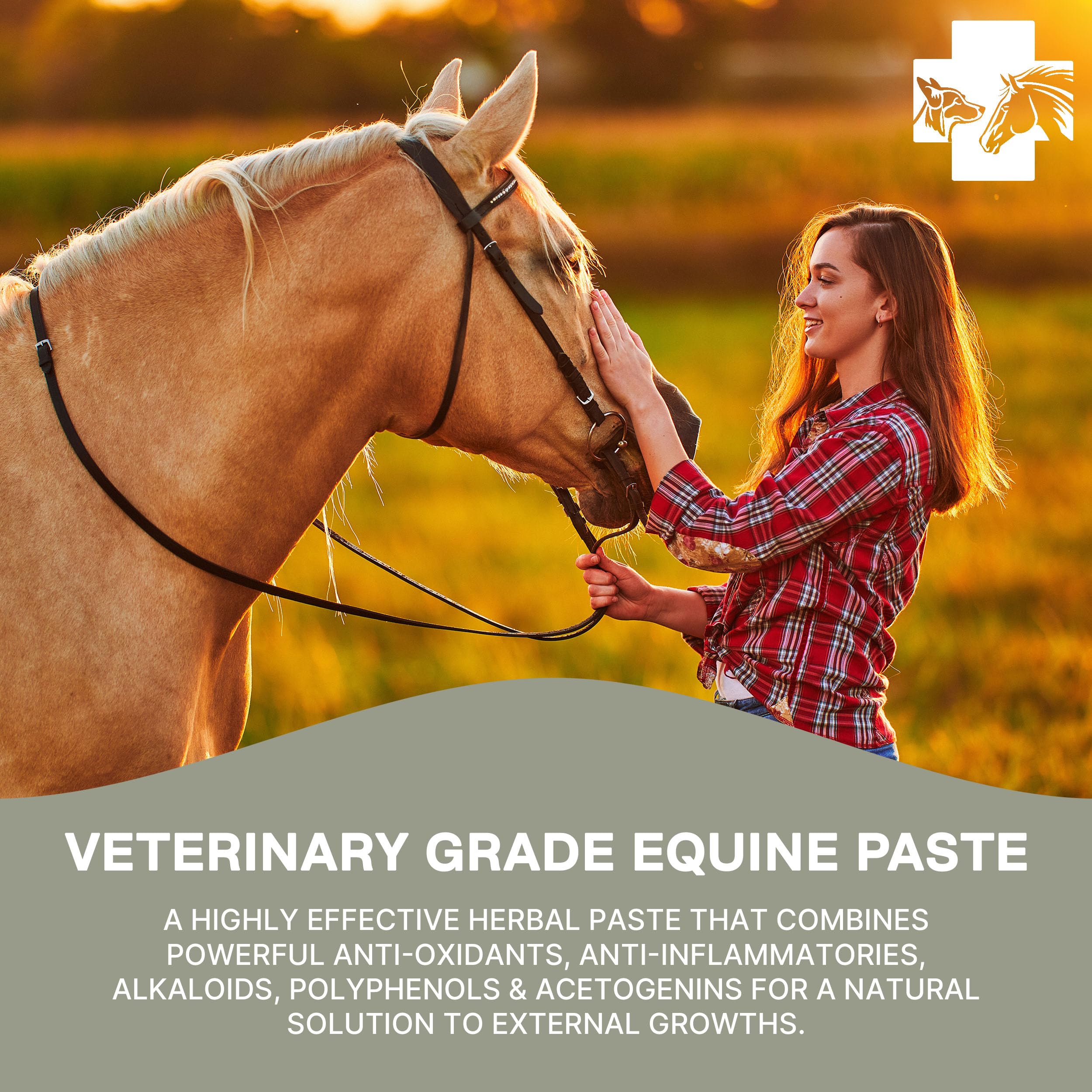 Vet Grade Horse Wellness Paste for Skin Anomalies | 1oz All-Natural Formula | Equine & Livestock Care