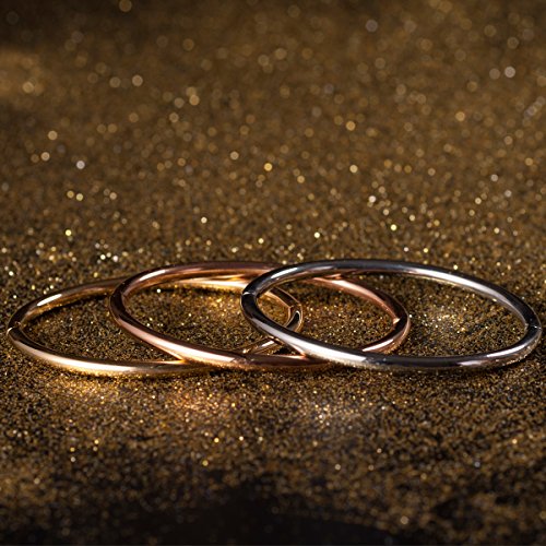Gevanya Women's Polished Round Hinge Tiny Bangle Bracelet Gold/Rose Gold/Silver (Silver)