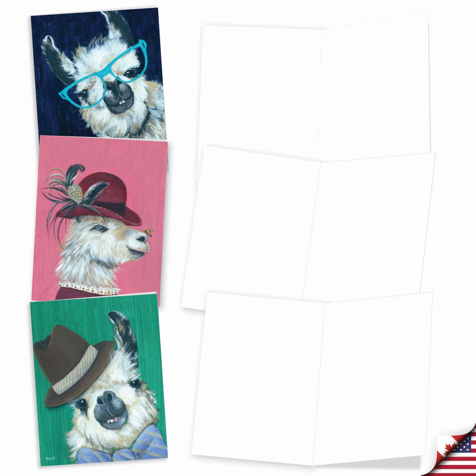 The Best Card Company Assorted Blank Greeting Card Box Set - Incl. 20 Cards + Envelopes - 10 Unique Designs - Perfect for Thank Yous, Invitations, More - Personality Llamas AM7036OCB-B2x10-NB