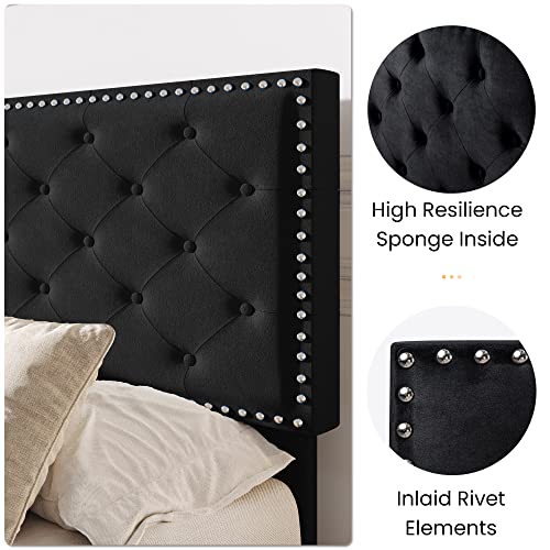 SHA CERLIN Queen Size Velvet Bed Frame, Upholstered Platform Bed with Adjustable Diamond Button Tufted Headboard, Rivet Ornament, Wood Slat Support, No Box Spring Needed, Easy Assembly, Black