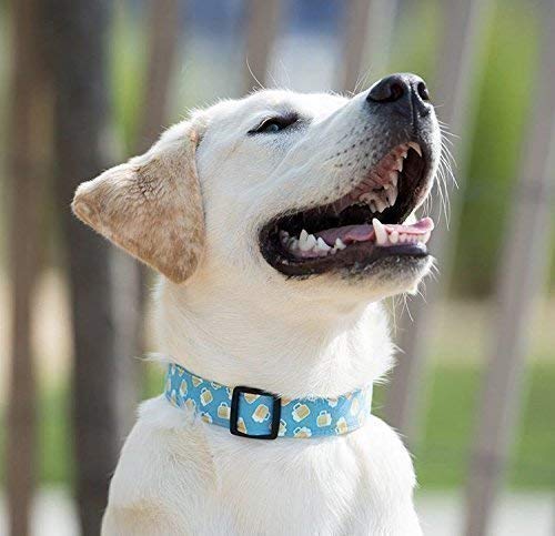 Galaxy Print Collar for Pets Size Small 3/4 Inch Wide and 12-17 Inches Long - Hand Made Dog Collar by Oh My Paw'd