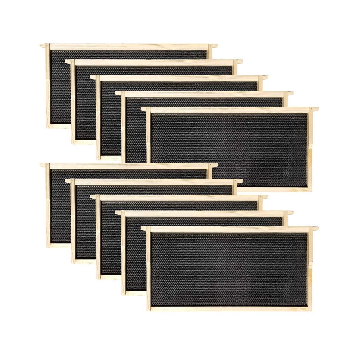 Hoover Hives 10 Frame Langstroth Deep Brood Box Dipped in 100% Beeswax Includes Wooden Frames & Waxed Foundations (Assembled)