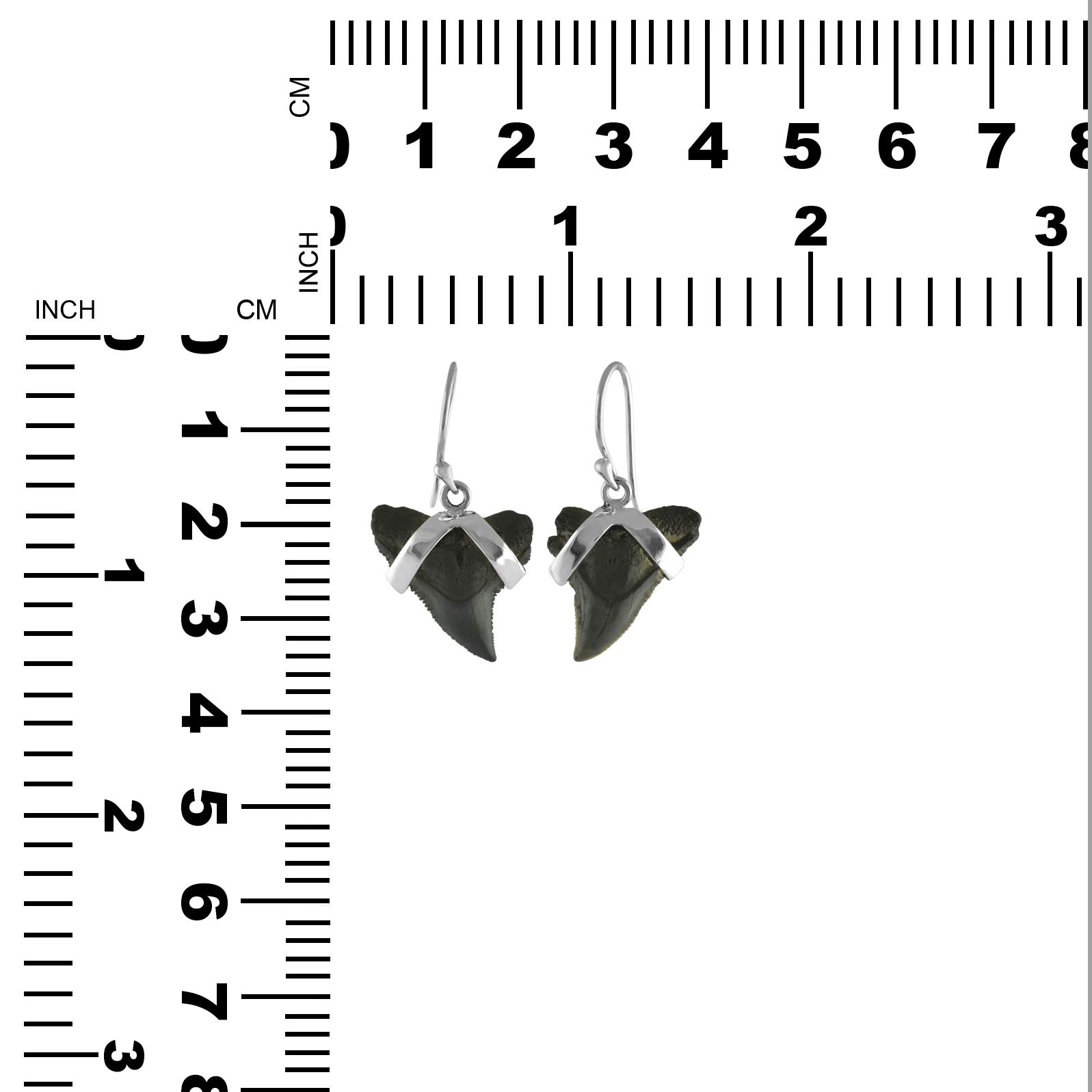 Fossil Shark Tooth Sterling Silver Earrings