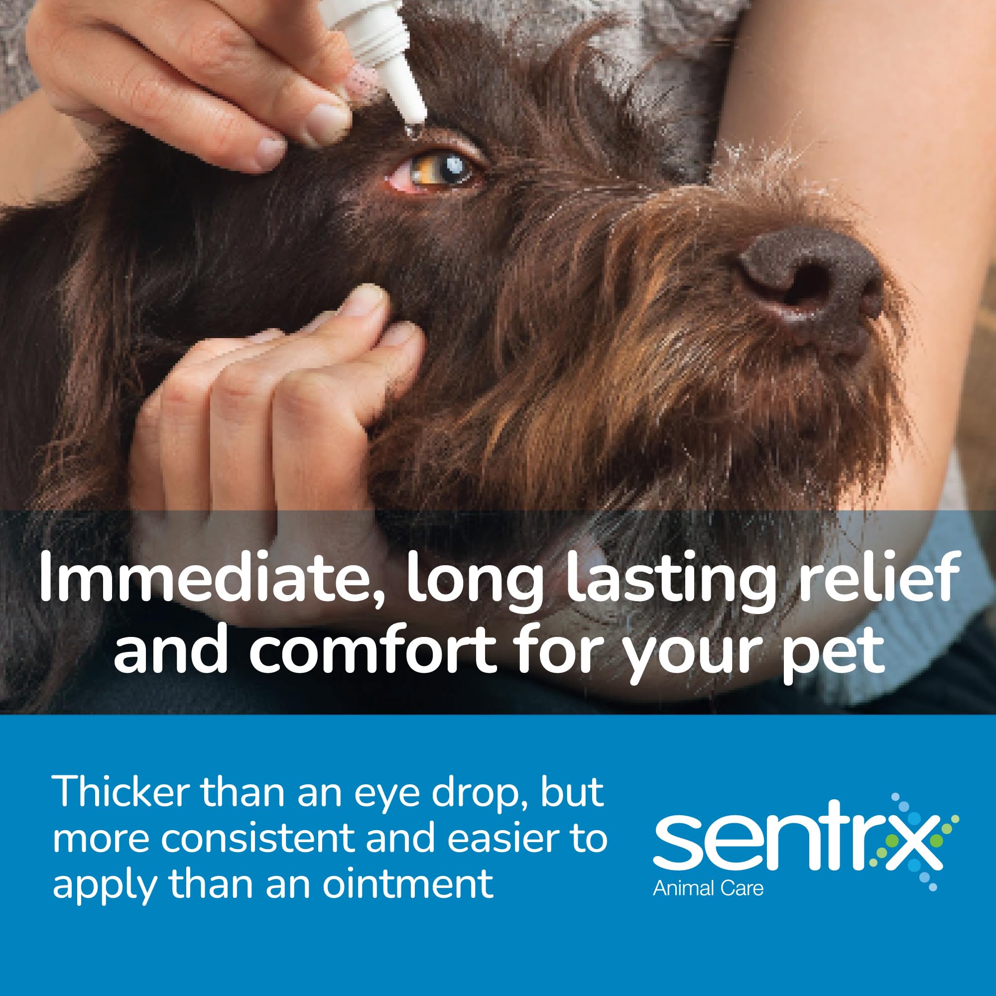 Sentrx Eye Lube Pro Plus + Hyaluron for Dogs, Cats, Horses, Dry Eye Relief, 20g, Pack of 6