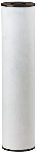 Pentair Pentek RFFE20-BB Big Blue Water Filter, 20-Inch, Whole House Radial Flow Iron Reduction Replacement Cartridge, 20" x 4.5", White