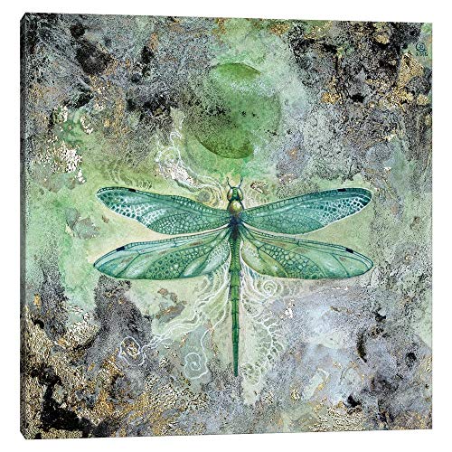 iCanvas SLW48 Dragonfly V Canvas Print by Stephanie Law, 26" x 26" x 0.75" Depth Gallery Wrapped