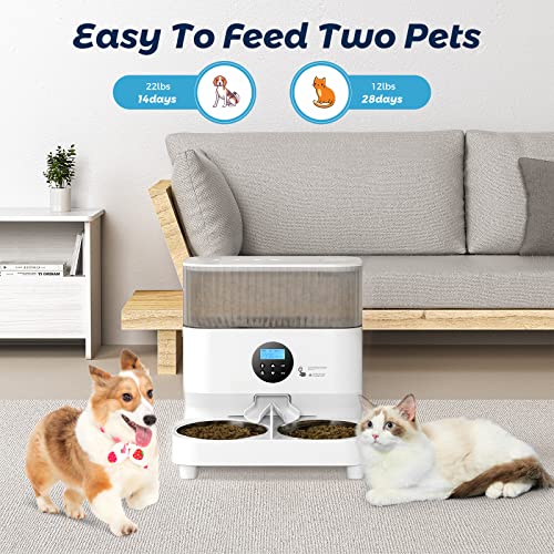 Sobralik Elevated Automatic Cat Feeder for Two Cats, 5L Dry Food Dispenser with Splitter and Two Stainless Bowls, 4 Meal Per Day and Portion Control, 10s Voice Recorder, Dual Power Supply
