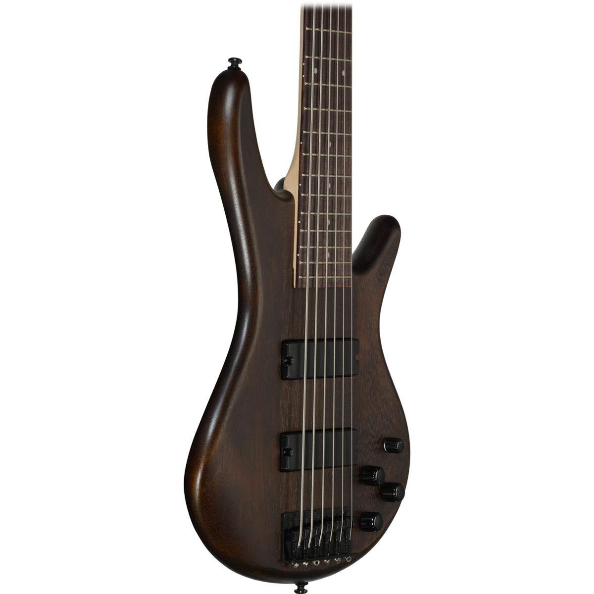 Ibanez GSR, 6-String Bass Guitar, Right, Walnut Flat (GSR206BWNF) and ChromaCast Electric Bass Guitar Padded Gig Bag (CC-BPB, Black)