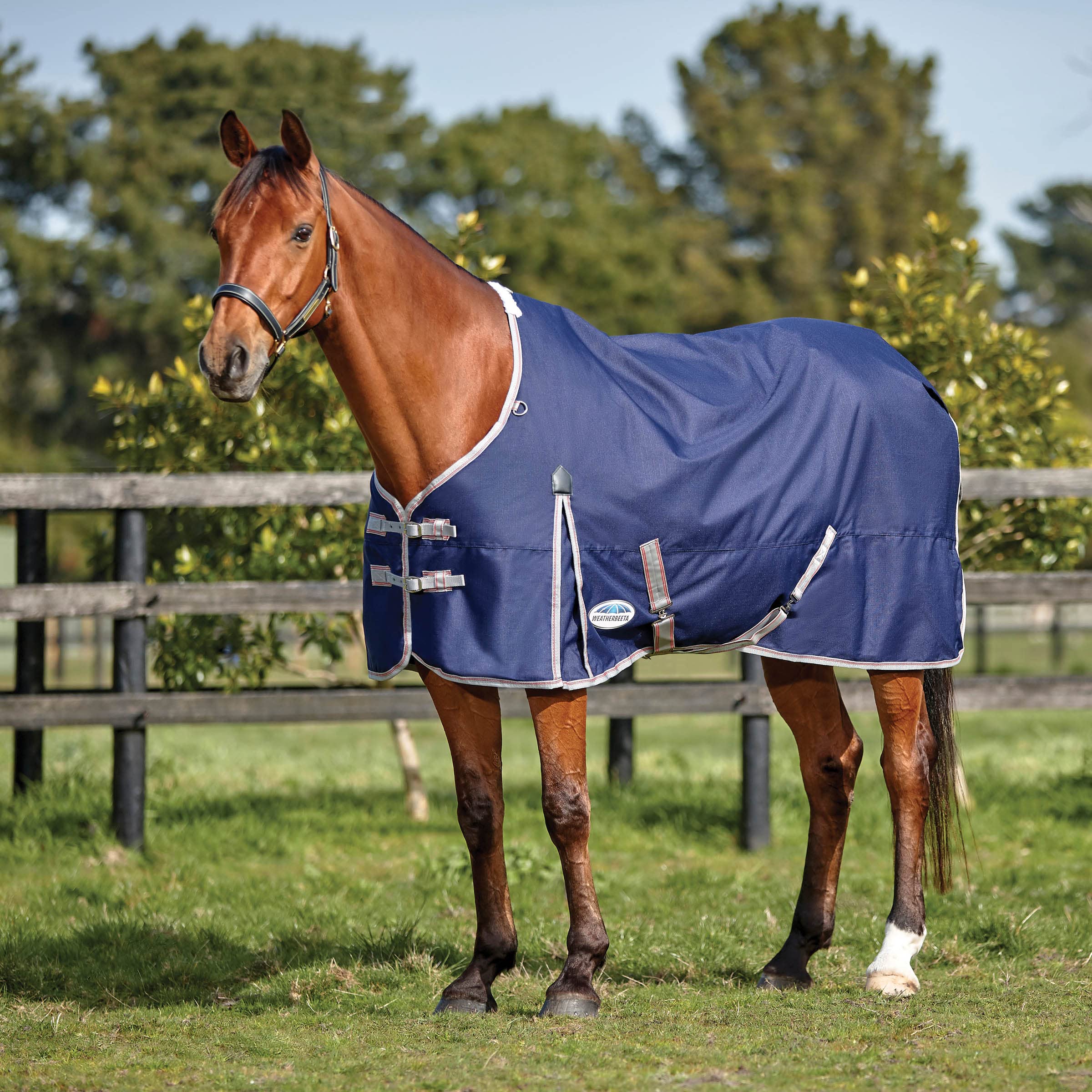 WeatherBeeta ComFiTec Essential Standard Neck Medium/Lite Horse Blanket, Navy/Silver/Red, 75"