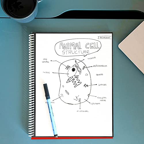 WIPEBOOK REUSABLE NOTEBOOK - Dry Erase Notebook Available in Blank, Ruled or Graph | Dry Erase Notepad Paper for Meeting, Business, Office, Home | Mini Dry Erase Board | Blank