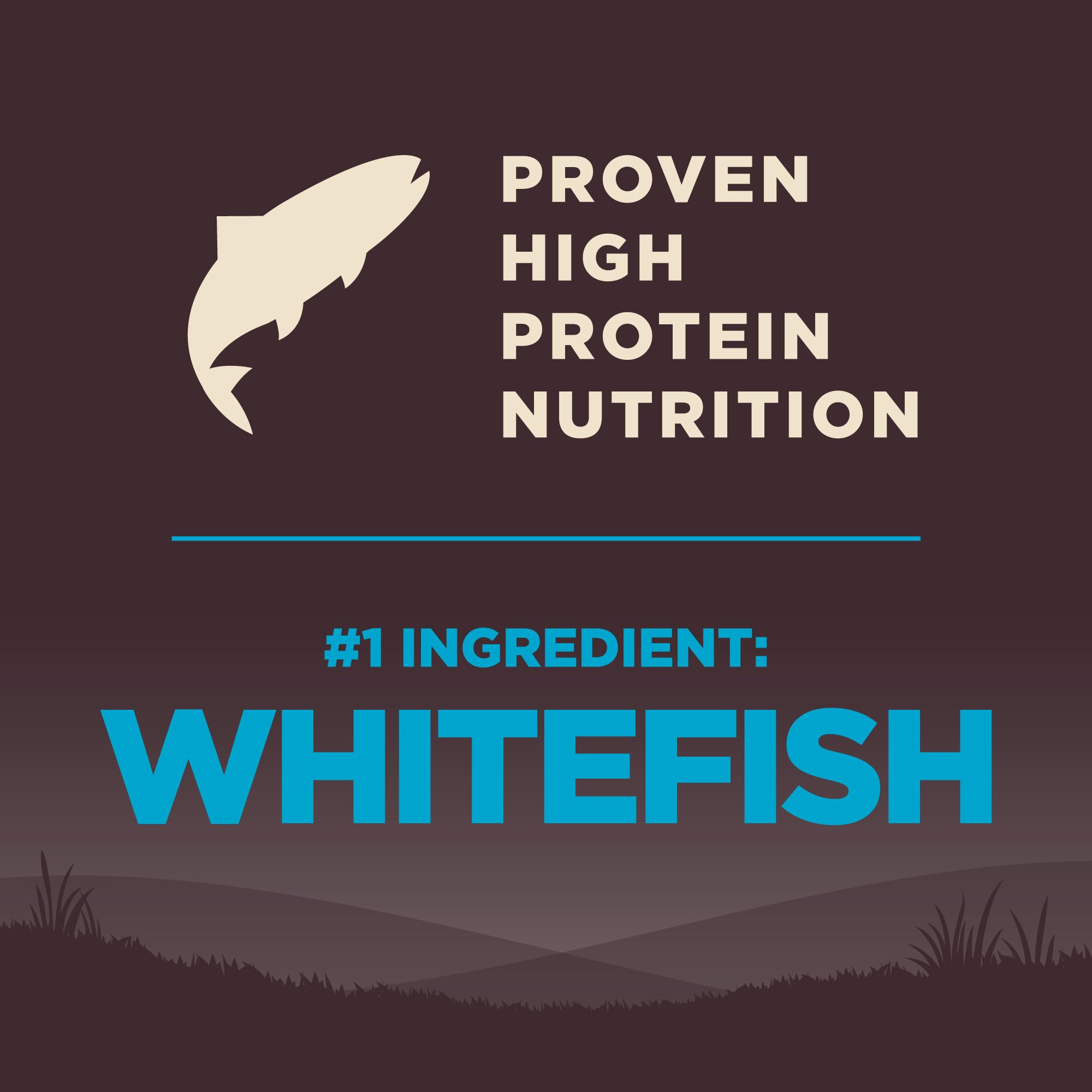 Wellness CORE Wholesome Grains Ocean Recipe, 22 Pound Bag