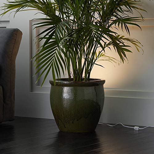Pro Track Can Mini Small Uplighting Indoor Accent Spot-Light Plug-in Floor Plant Home Decorative Art Desk Picture Table Living Room Interior Corner Bar Photo White Finish 6 1/2" High