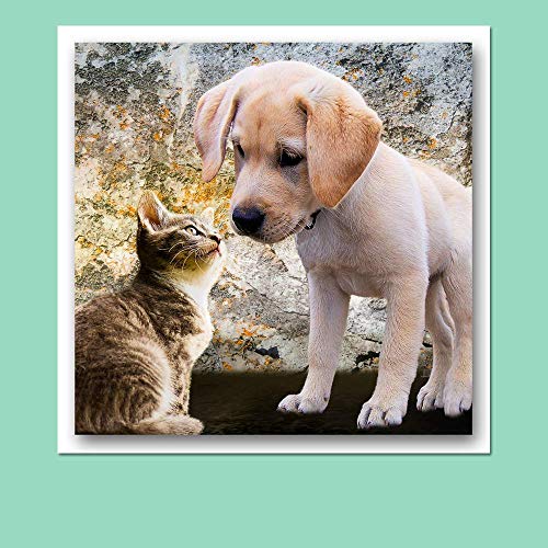 Hamilco White Cardstock Scrapbook Paper 12x12 Heavy Weight 120 lb Cover Card Stock β 25 Pack