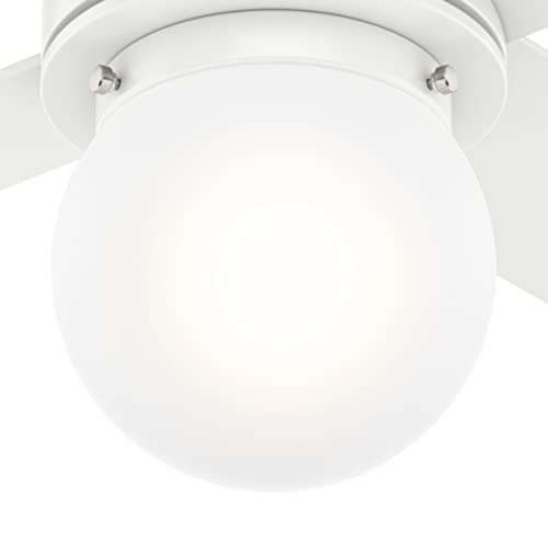 Hunter Fan Company 50275 Hepburn Ceiling Fan, 44, Matte White Finish