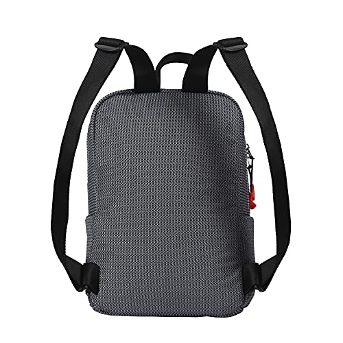 Sherpani Adaline, Nylon Mesh Backpack Purse, Small Backpack, Travel Bag, Fashion Bags for Women Fits 13 Inch Laptop (Graphite)